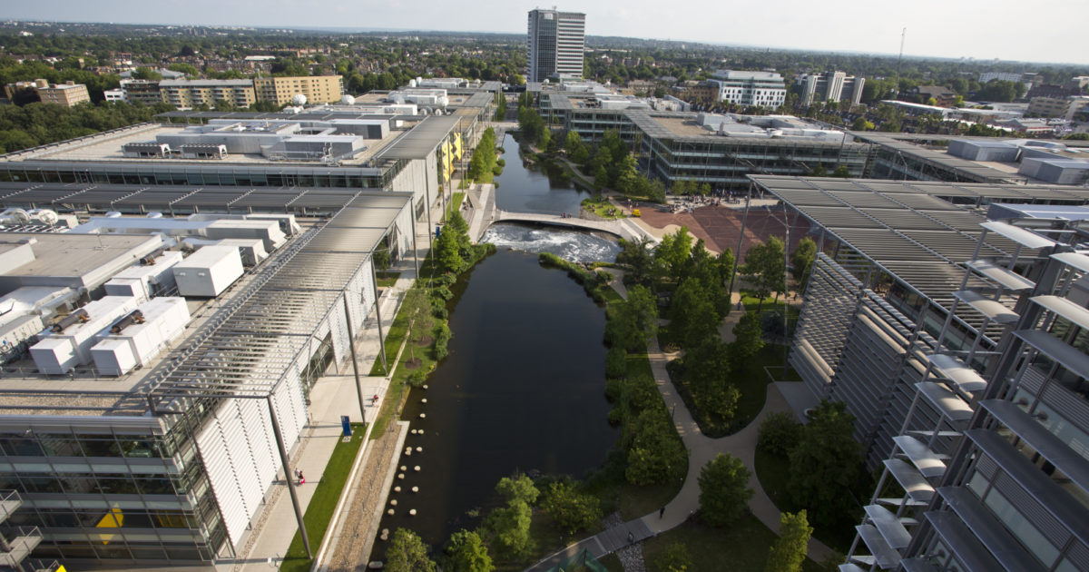 Chiswick Park Landscaping | Careys